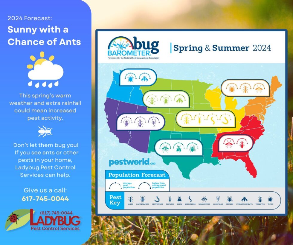 This Season’s Bug Barometer: More Pests on the Forecast - Ladybug Pest ...