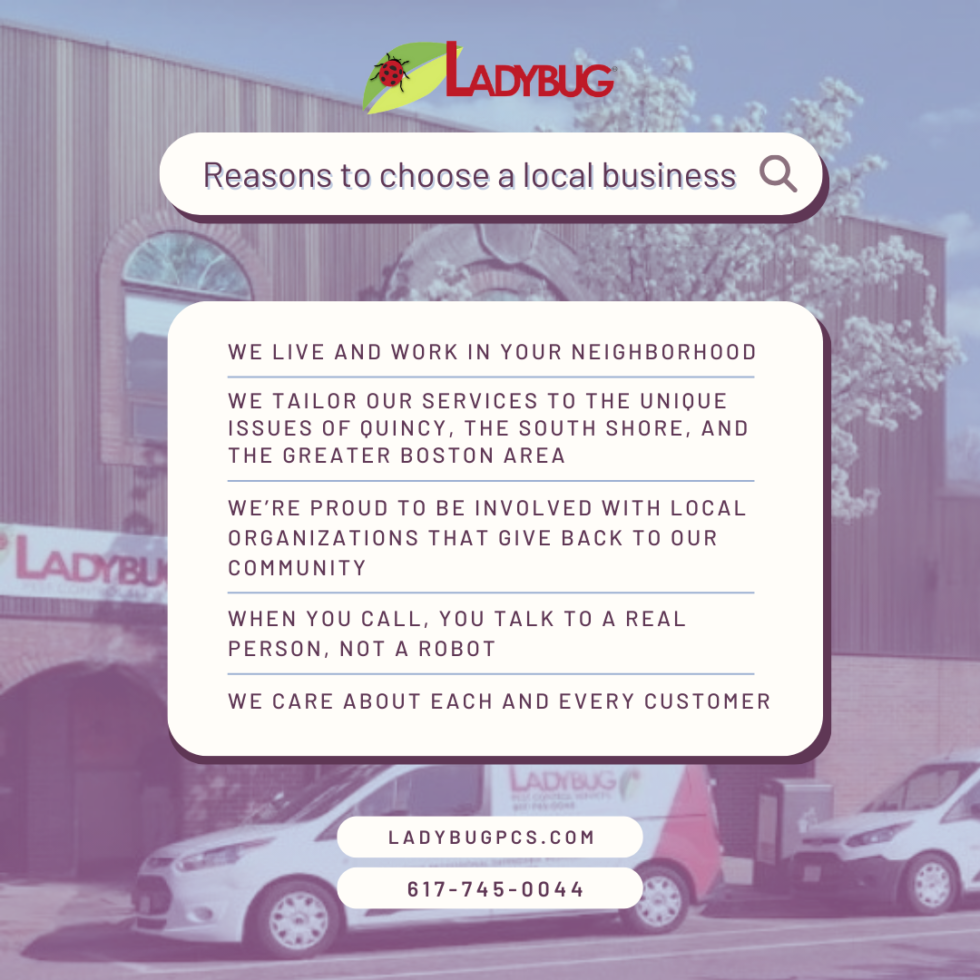 Why Choose Local Businesses? - Ladybug Pest Control Services